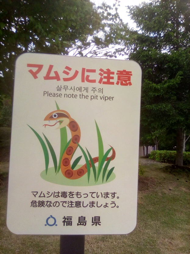 Tsuchinoko – The Amazing Cryptid Snake of Japan - Japanese Tales